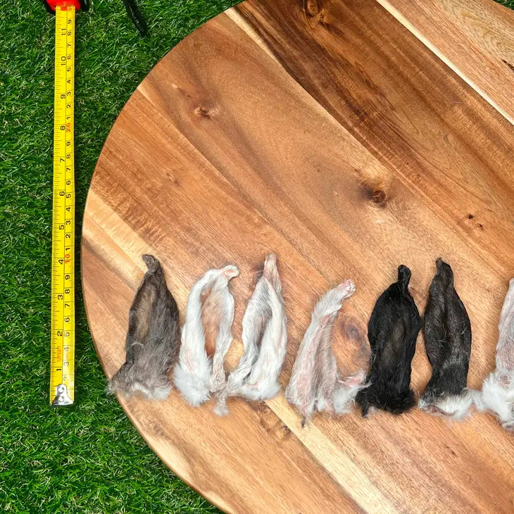 Rabbit Ear – Dog Daze